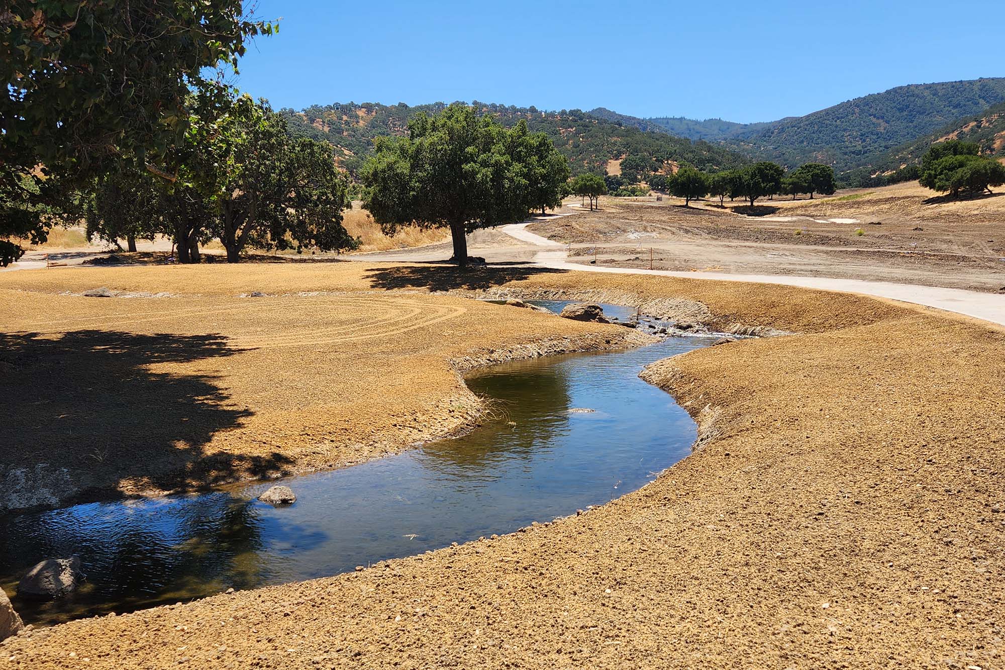 Rejuvenated Creek System - San Juan Oaks