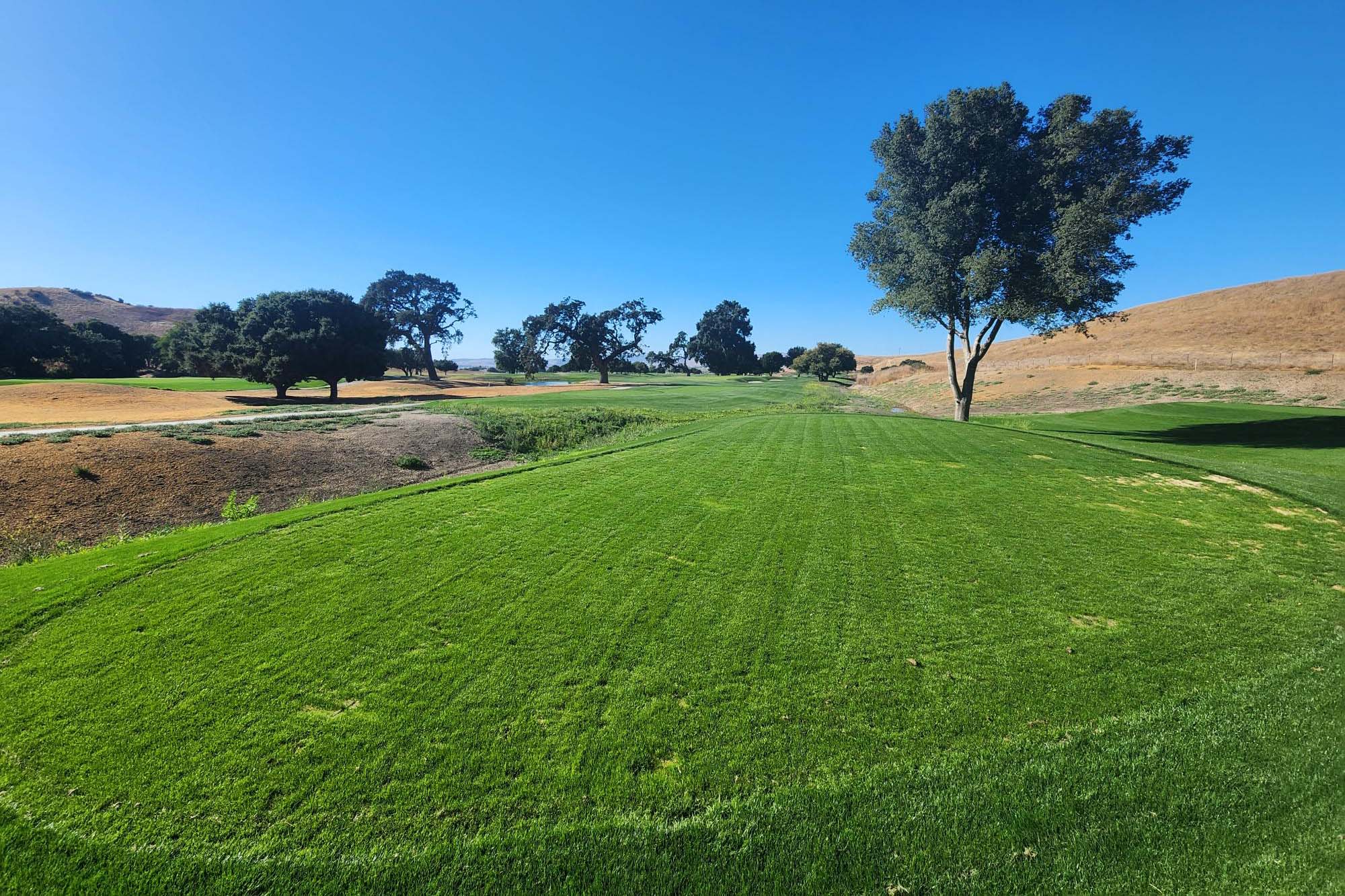 Renovating Our Tee Boxes - San Juan Oaks